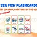 Sea Fish Flashcards for Kids: Dive Into Ocean Learning - Etsy