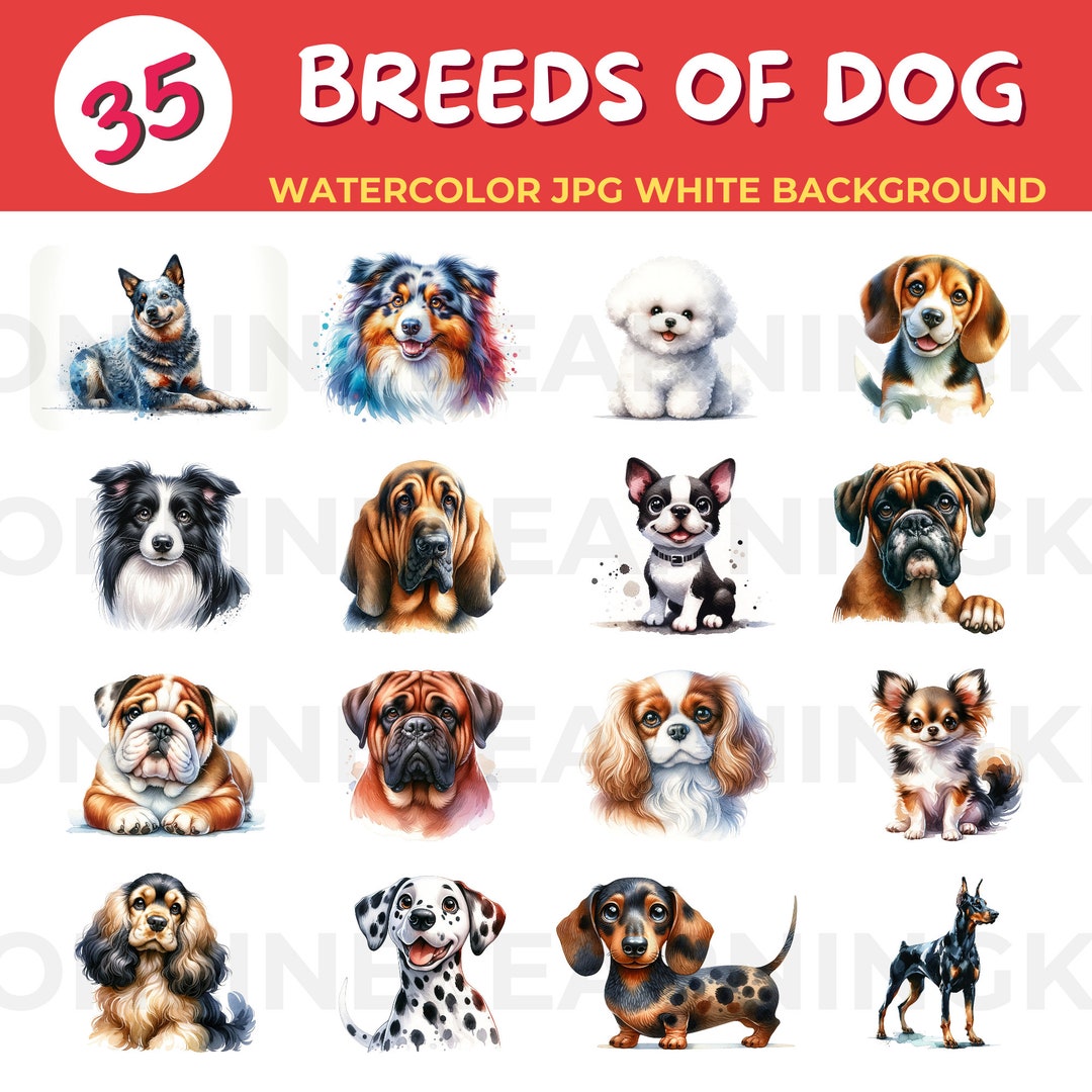 35 Breeds of Dog Watercolor White Background 300 DPI | Dog Breeds Art ...