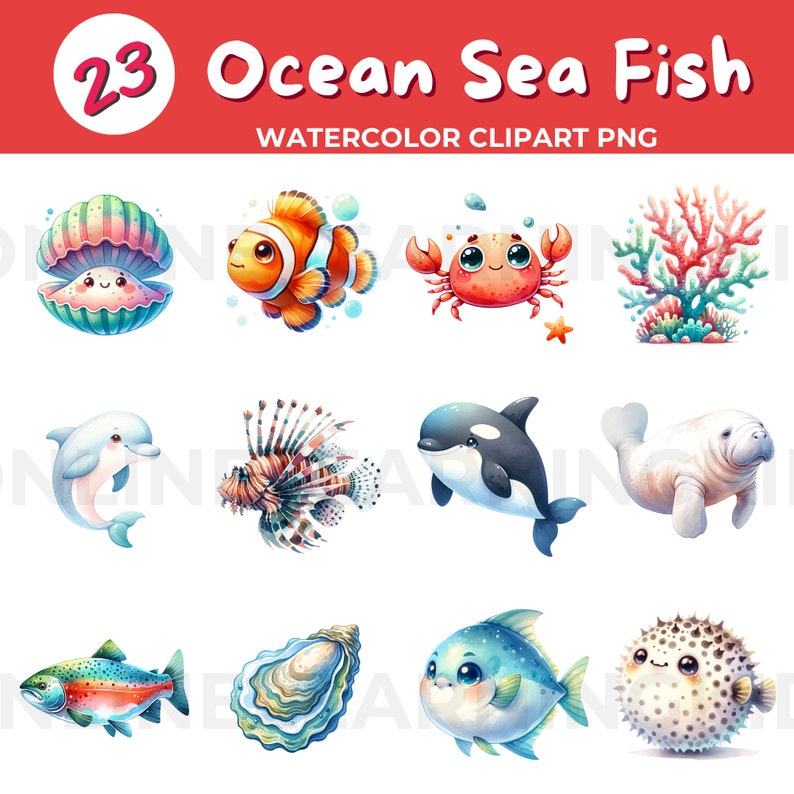 23 Marine, Ocean, Sea Fish, Underwater Clip Art PNG | Ocean Life ...