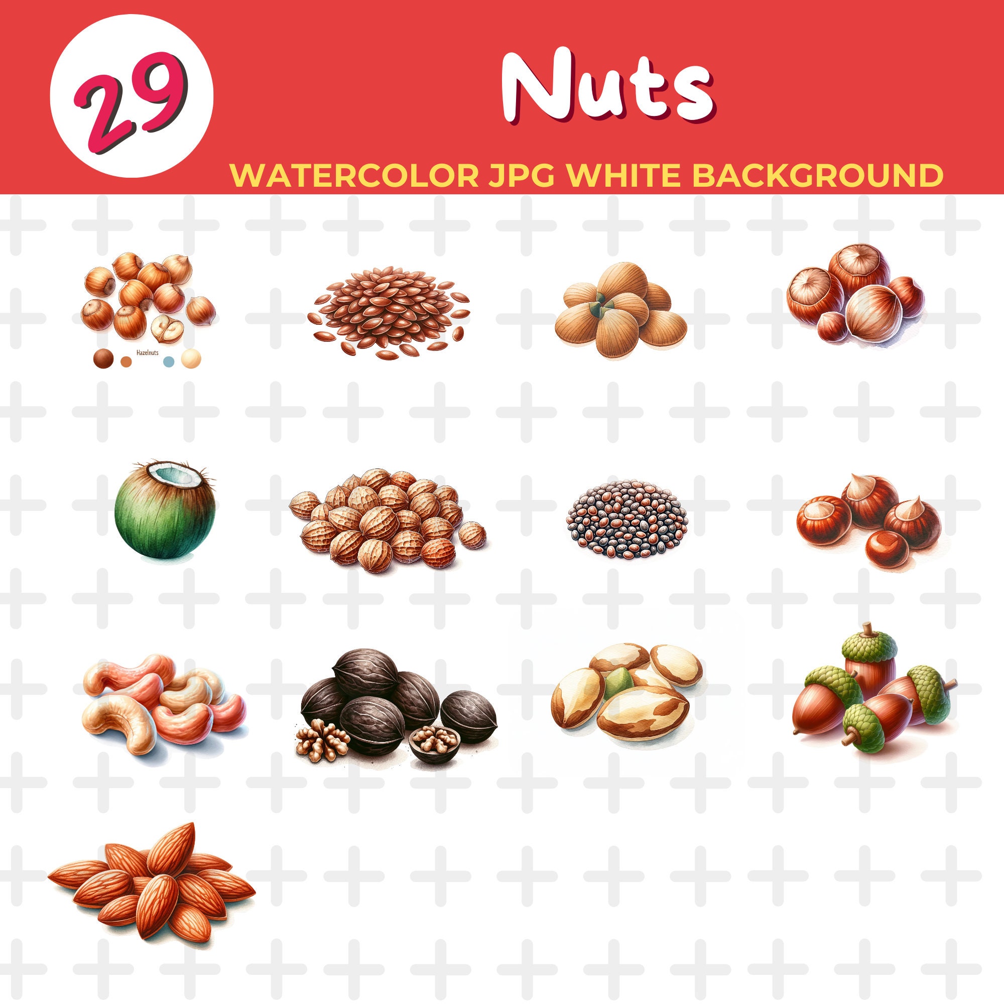 29 Nuts Watercolor JPG White Background 300 DPI Kids Nuts Art Nut ...
