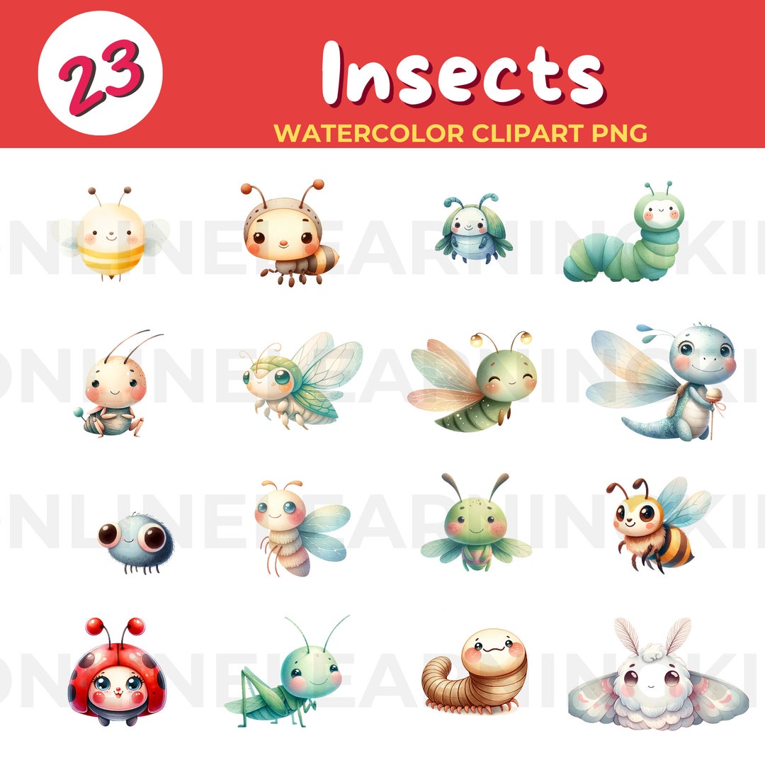 23 Insect PNG Clip Art Kids Bug Art, Cute Bugs Art Watercolor Bugs ...