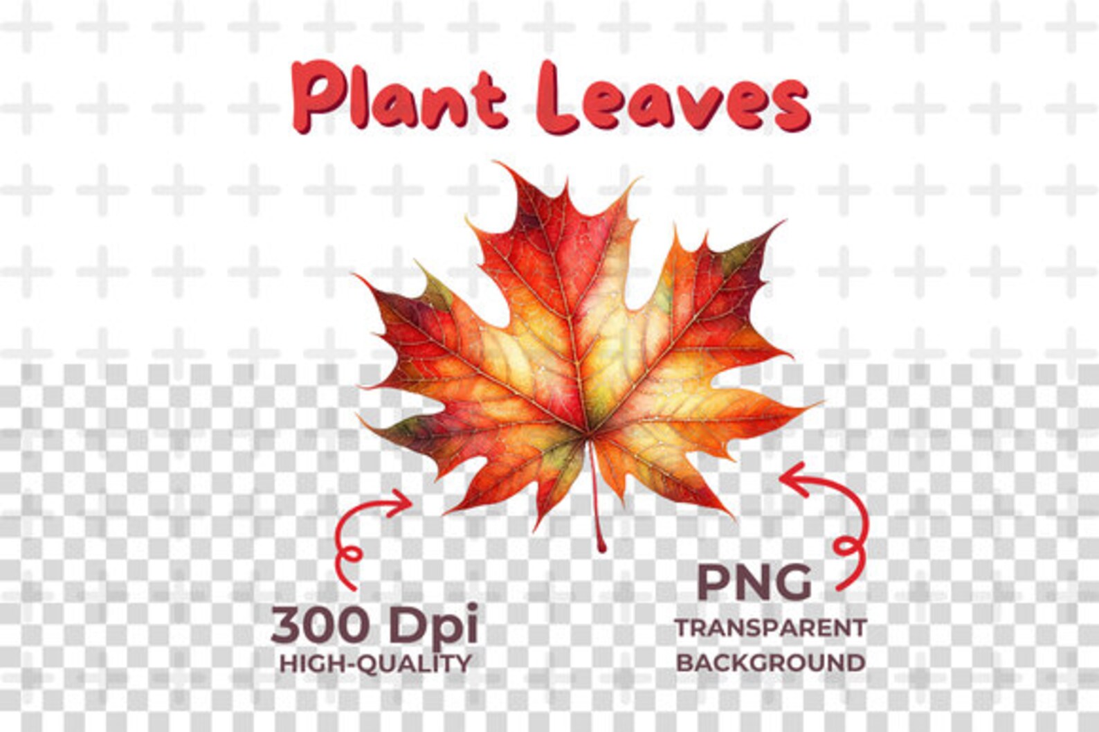 28 PNG Plant Leaves Clip Art | Kids Plant Leaves | Watercolor Plants ...