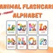 Educational Alphabet Flashcards With Animals Preschool Learning Game - Etsy