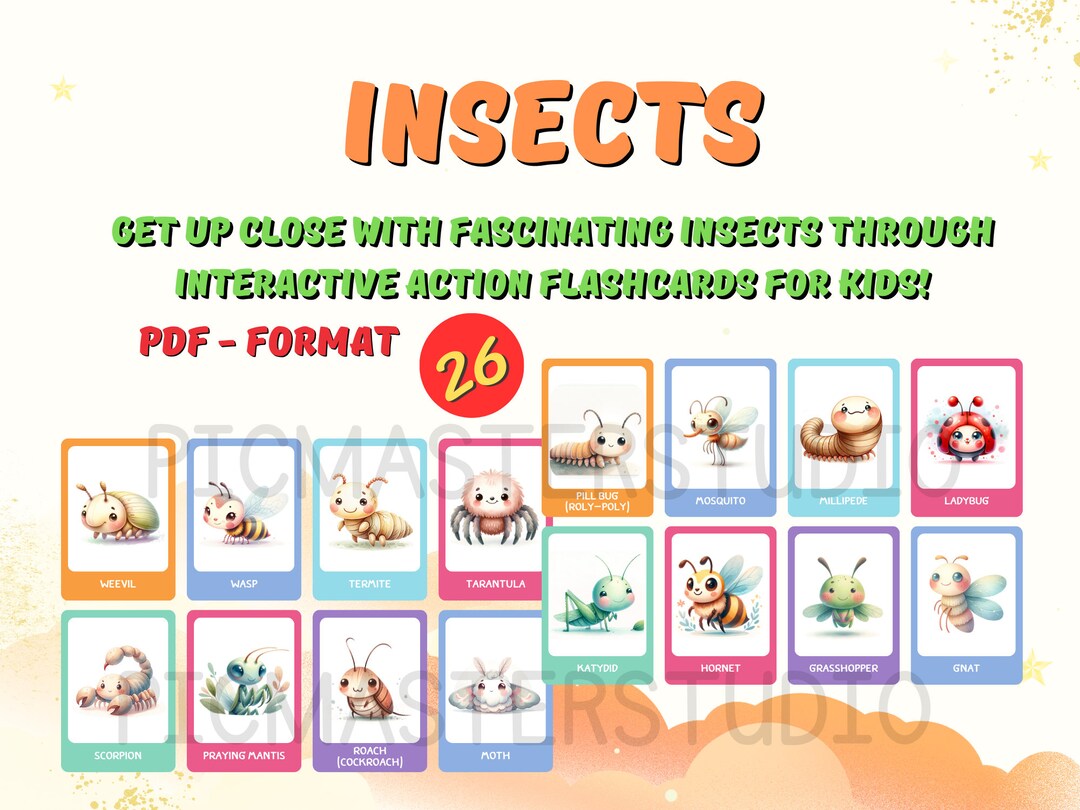 26 Creepy Crawly Adventures: Engaging Insects Flashcards for Kids ...
