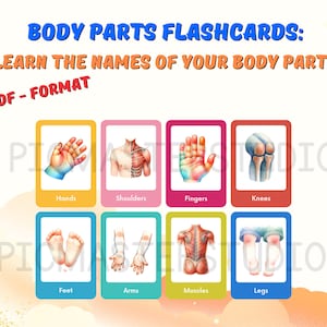 Body Parts Flashcards for Kids: A Fun & Educational Way to Learn ...