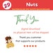 29 Nuts Watercolor JPG White Background 300 DPI | Kids Nuts Art | Nut ...