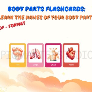 Body Parts Flashcards for Kids: A Fun & Educational Way to Learn ...
