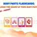 Body Parts Flashcards for Kids: A Fun & Educational Way to Learn ...