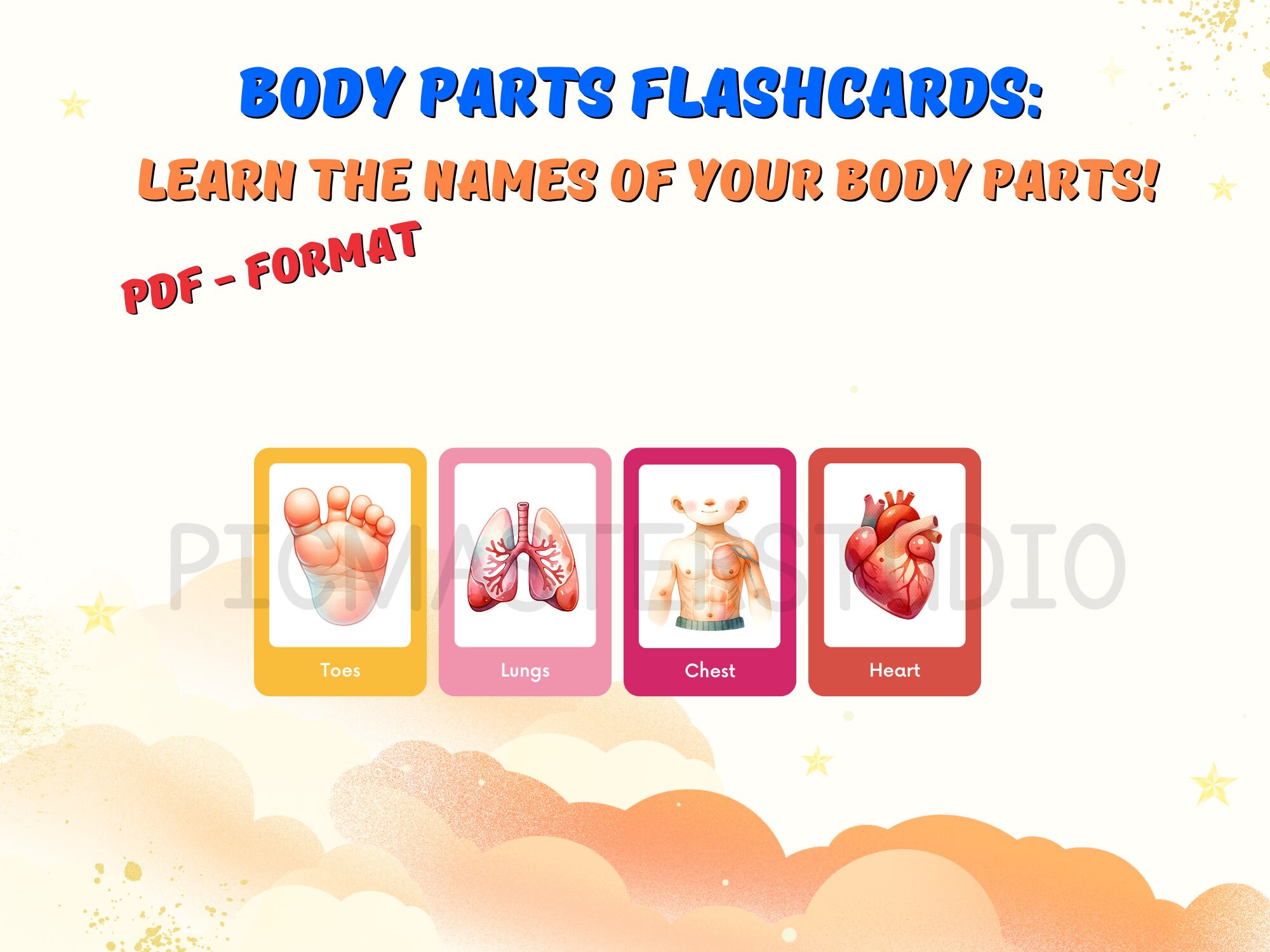 Body Parts Flashcards for Kids: A Fun & Educational Way to Learn ...
