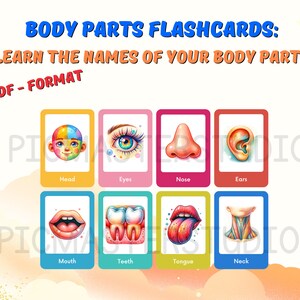 Body Parts Flashcards for Kids: A Fun & Educational Way to Learn ...