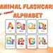 Educational Alphabet Flashcards With Animals Preschool Learning Game - Etsy