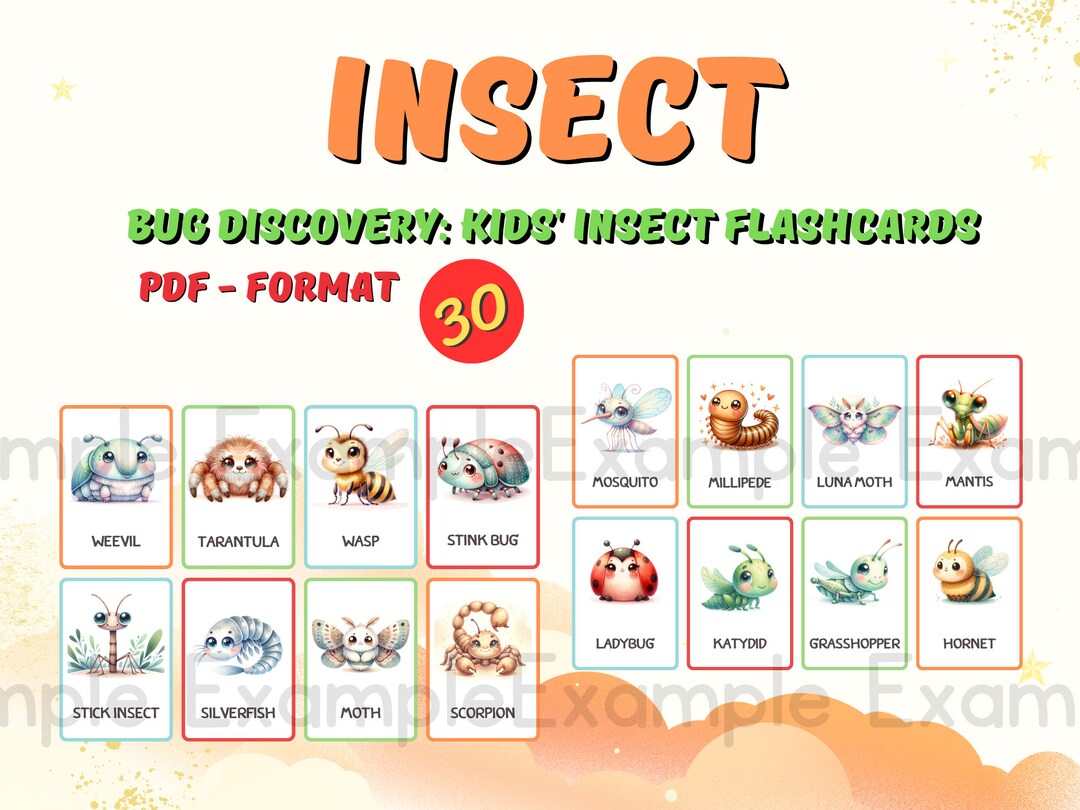 Discover Nature's Tiny Wonders: Insect Flashcards for Kids Fun Learning ...