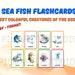 Sea Fish Flashcards for Kids: Dive Into Ocean Learning - Etsy
