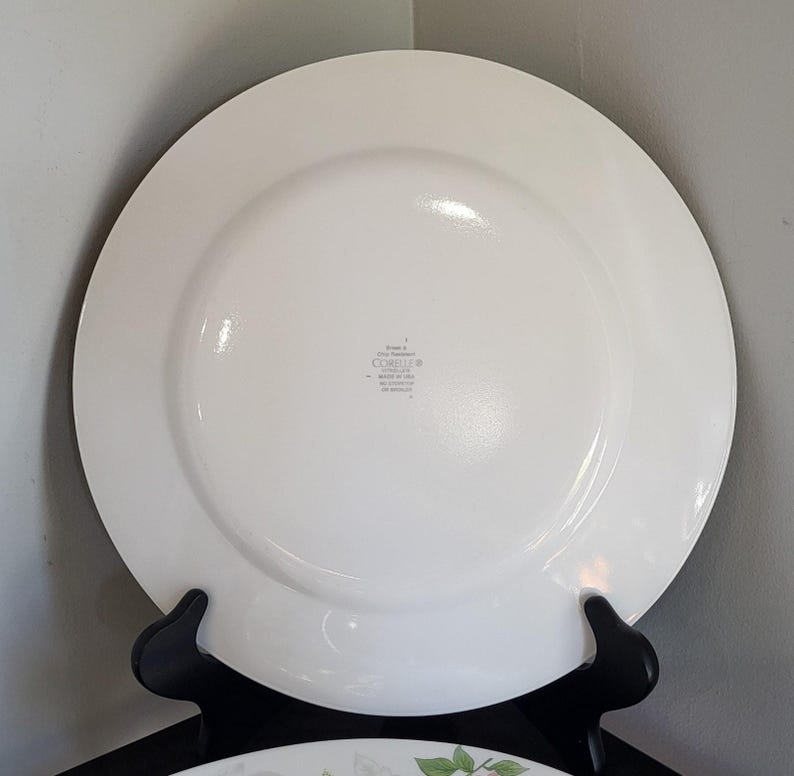 Corelle Chutney Fruit 10.75" Dinner Plates (SET OF 4) - Etsy