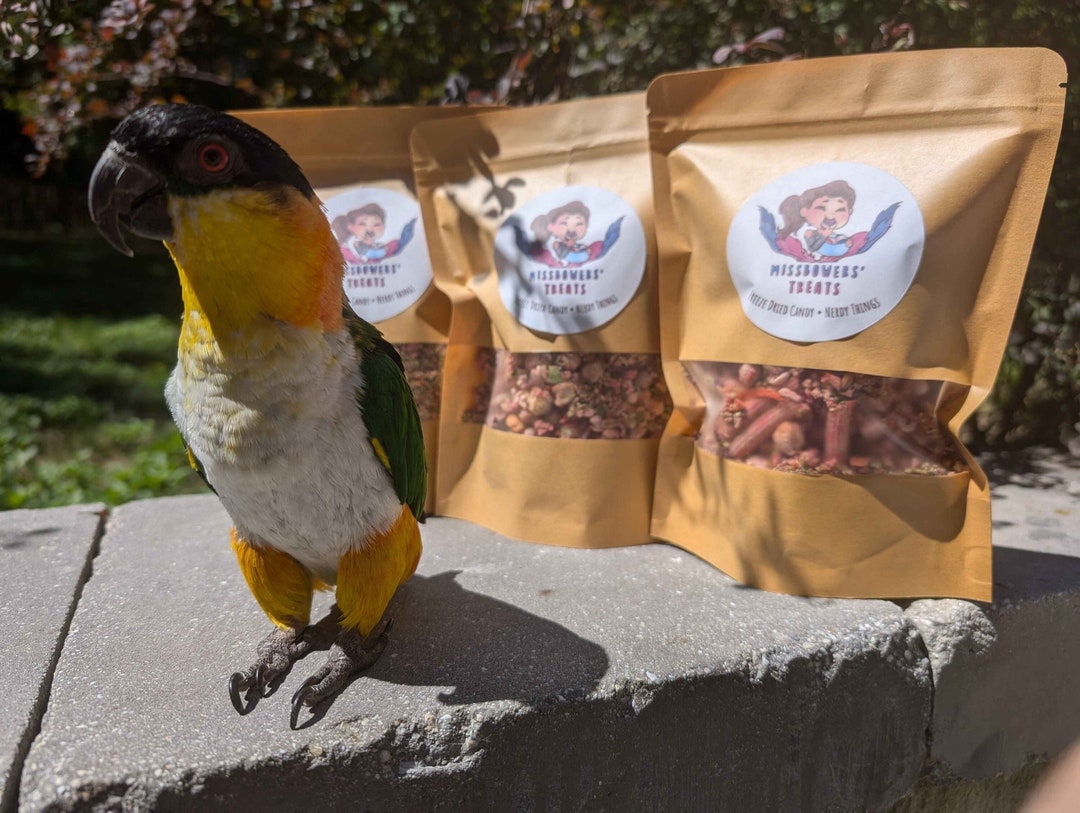 Freeze Dried Bird CHOP - Healthy - Etsy