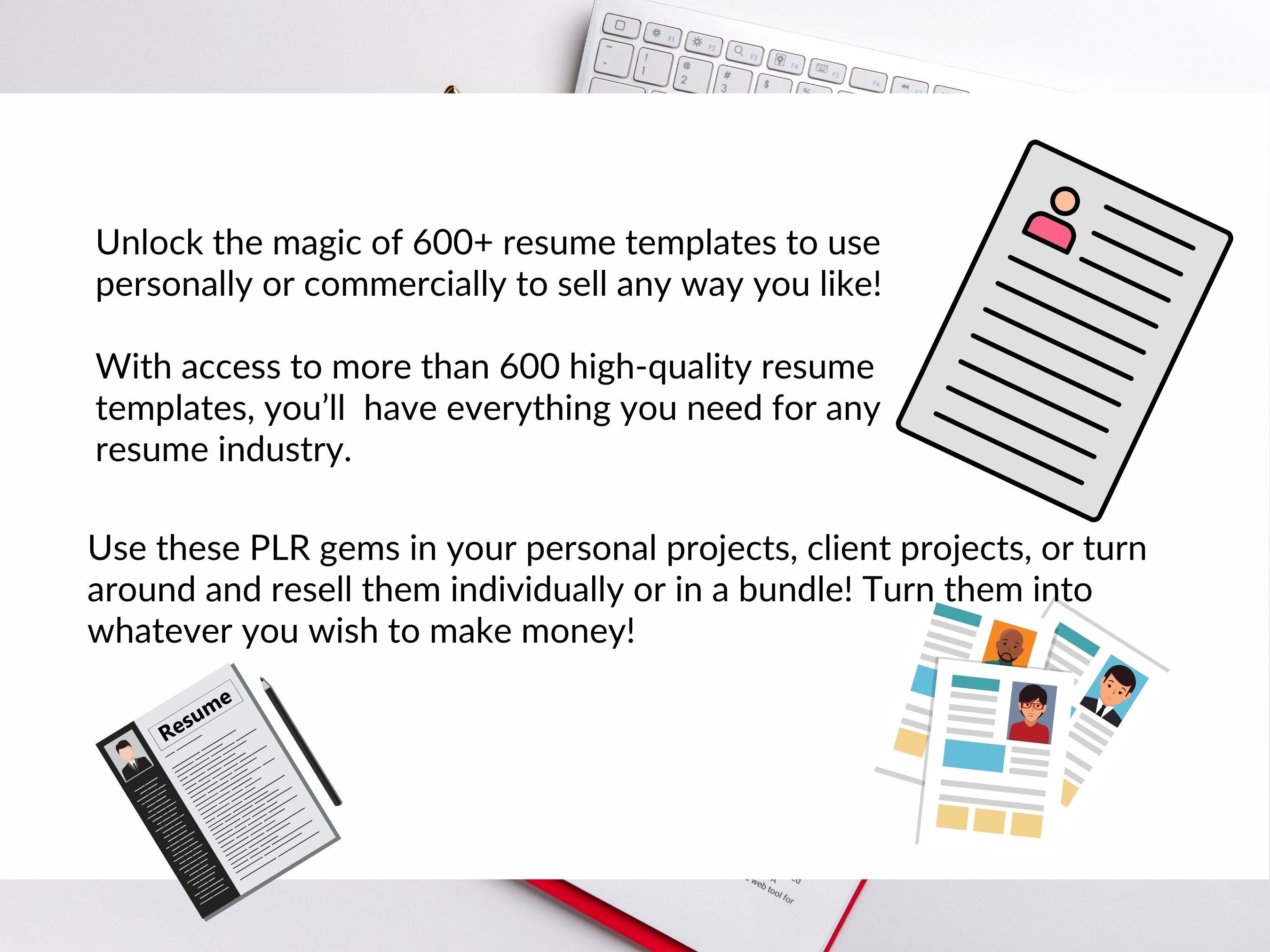 500 PLR Resume Templates Master Resell Rights Private Label Rights ...