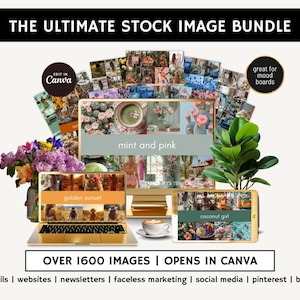 The Ultimate Stock Image Bundle With 4 Bonus | MRR & PLR | Canva | Ai ...