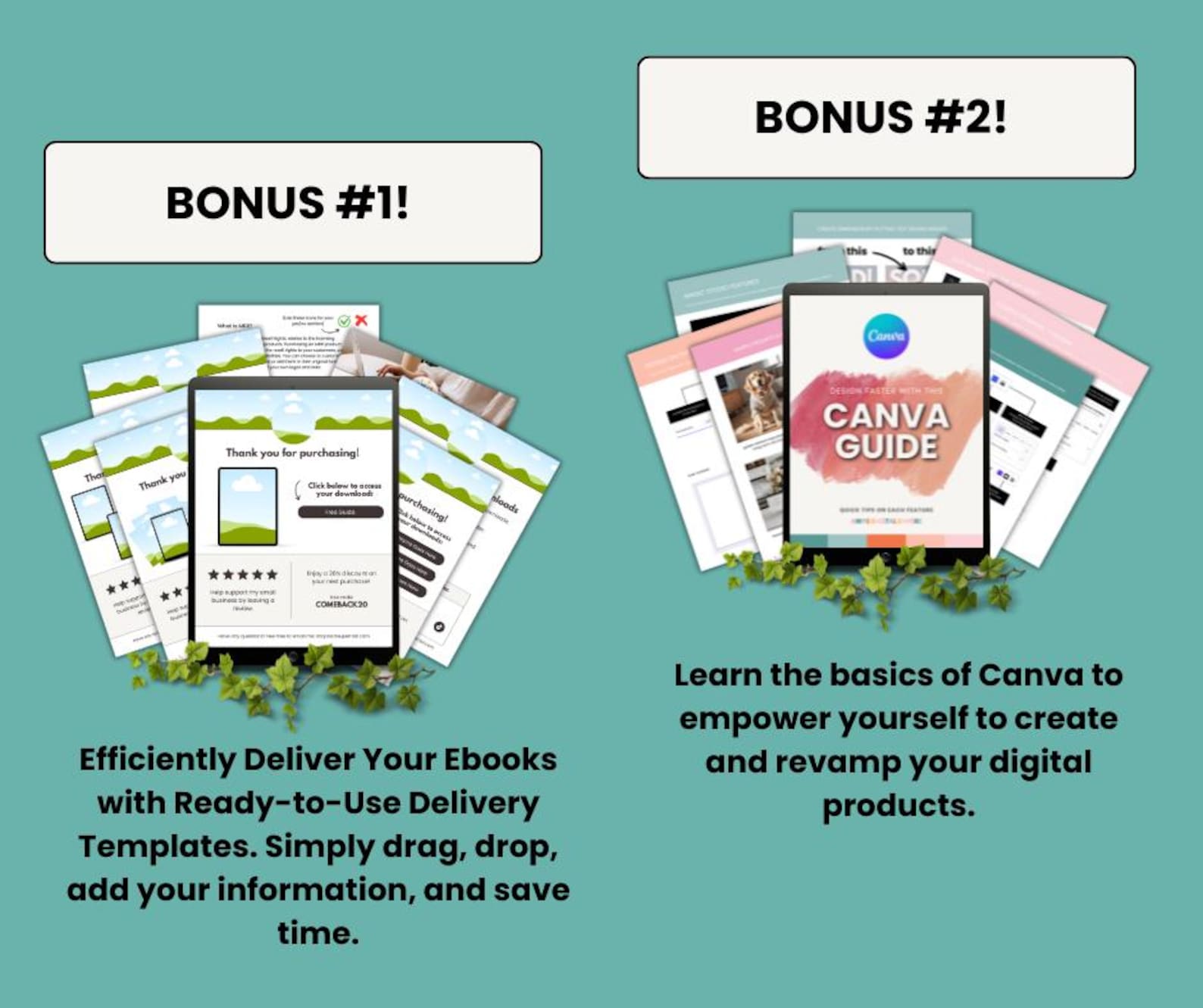 Beginners Guide to Stan Store and Email Automations for Faceless ...