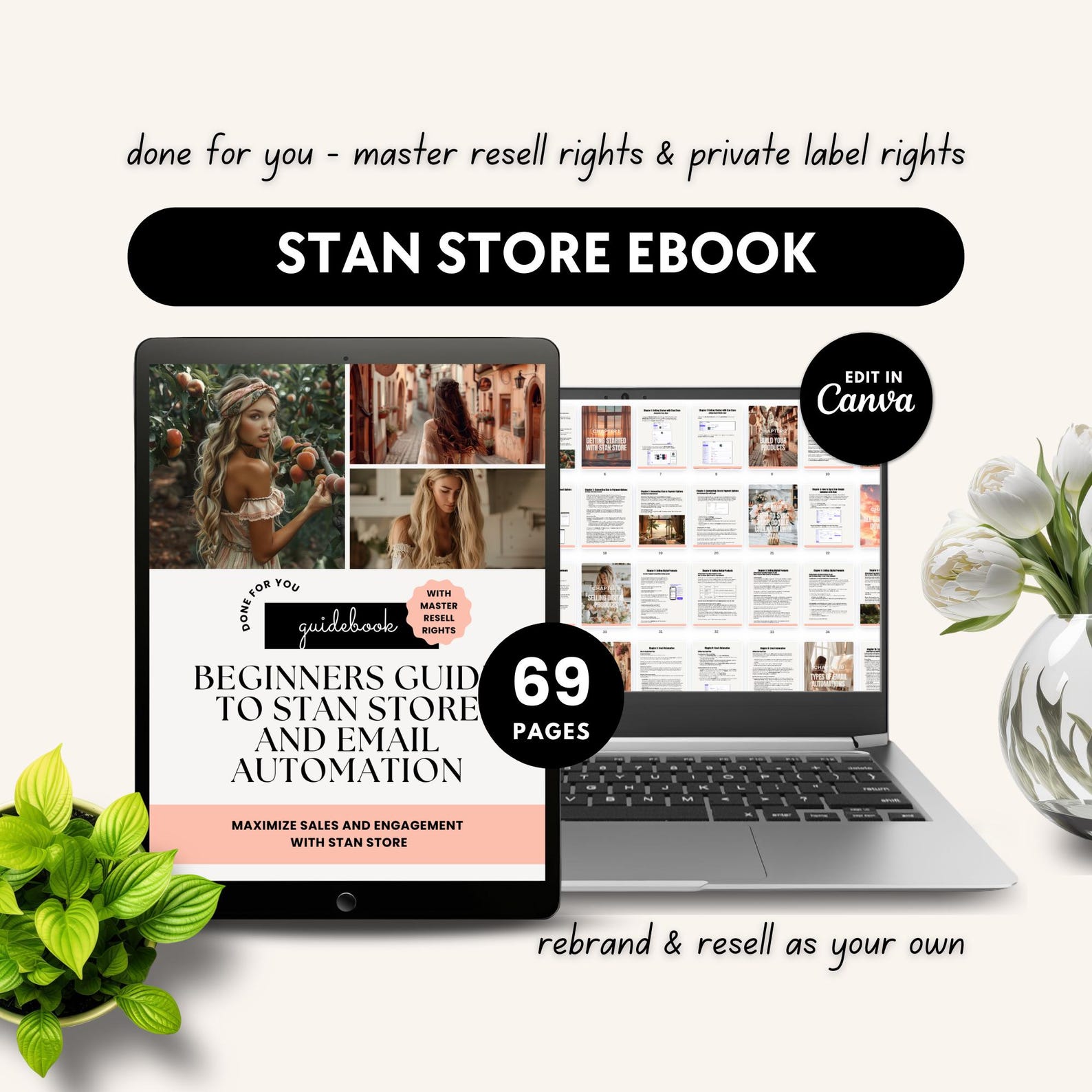 Beginners Guide to Stan Store and Email Automations for Faceless ...