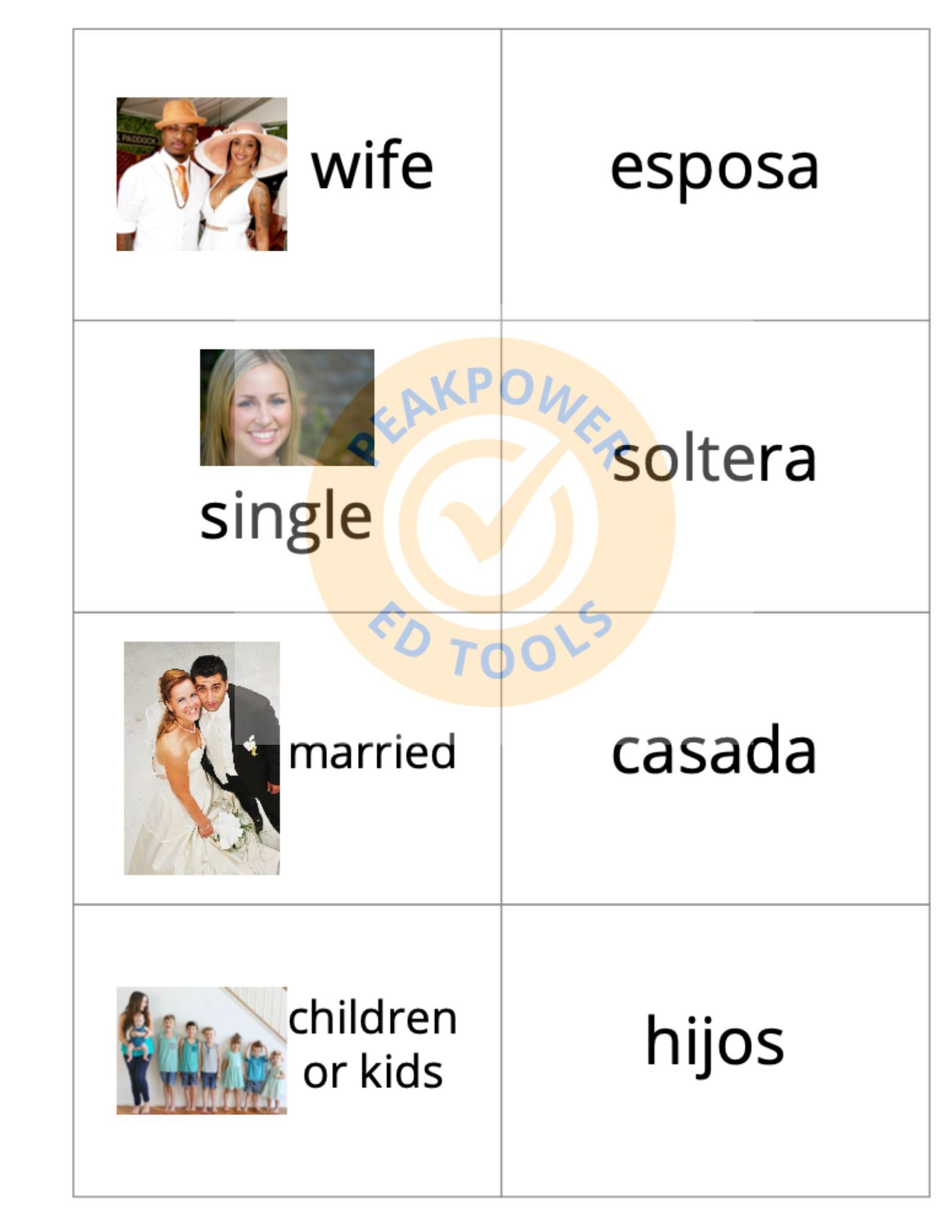 Spanish Vocabulary Cards Family Friends Theme High School Middle School ...