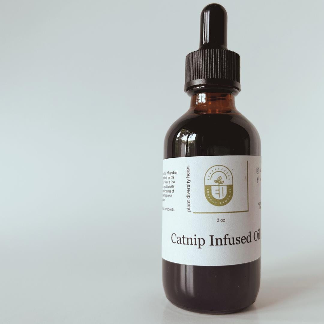 Organic Catnip Infused Oil - Etsy