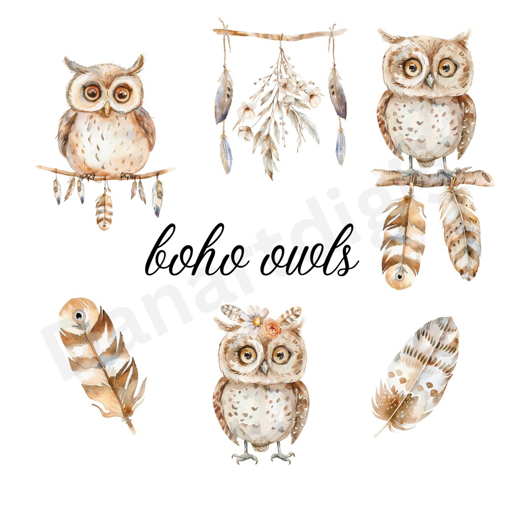 Boho Owls and Feathers Png Clip Art Cut Files Bundle Instant Download ...