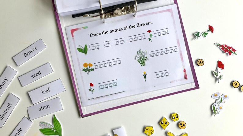 Flowers Busy Book: Montessori Learning Activities (PDF) - Etsy