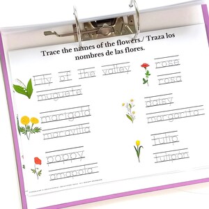 Flowers Activity Book: Montessori Homeschool Printable (PDF) - Etsy