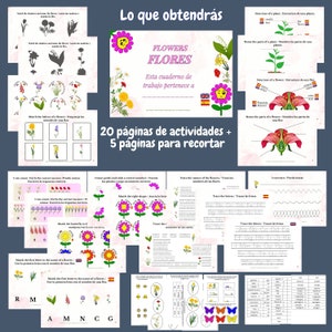 Flowers Activity Book: Montessori Homeschool Printable (PDF) - Etsy