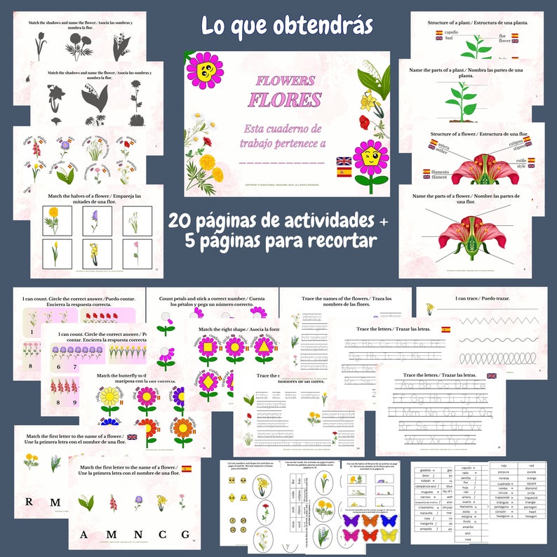 Flowers Activity Book: Montessori Homeschool Printable (PDF) - Etsy