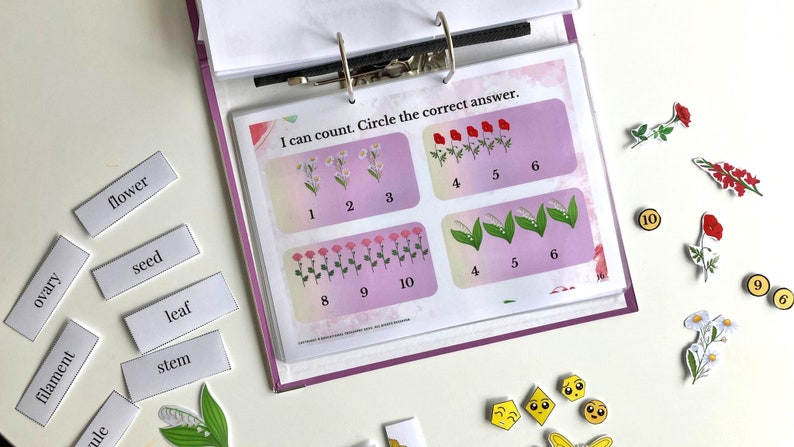 Flowers Busy Book: Montessori Learning Activities (PDF) - Etsy