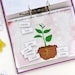 Flowers Activity Book: Montessori Homeschool Printable (PDF) - Etsy