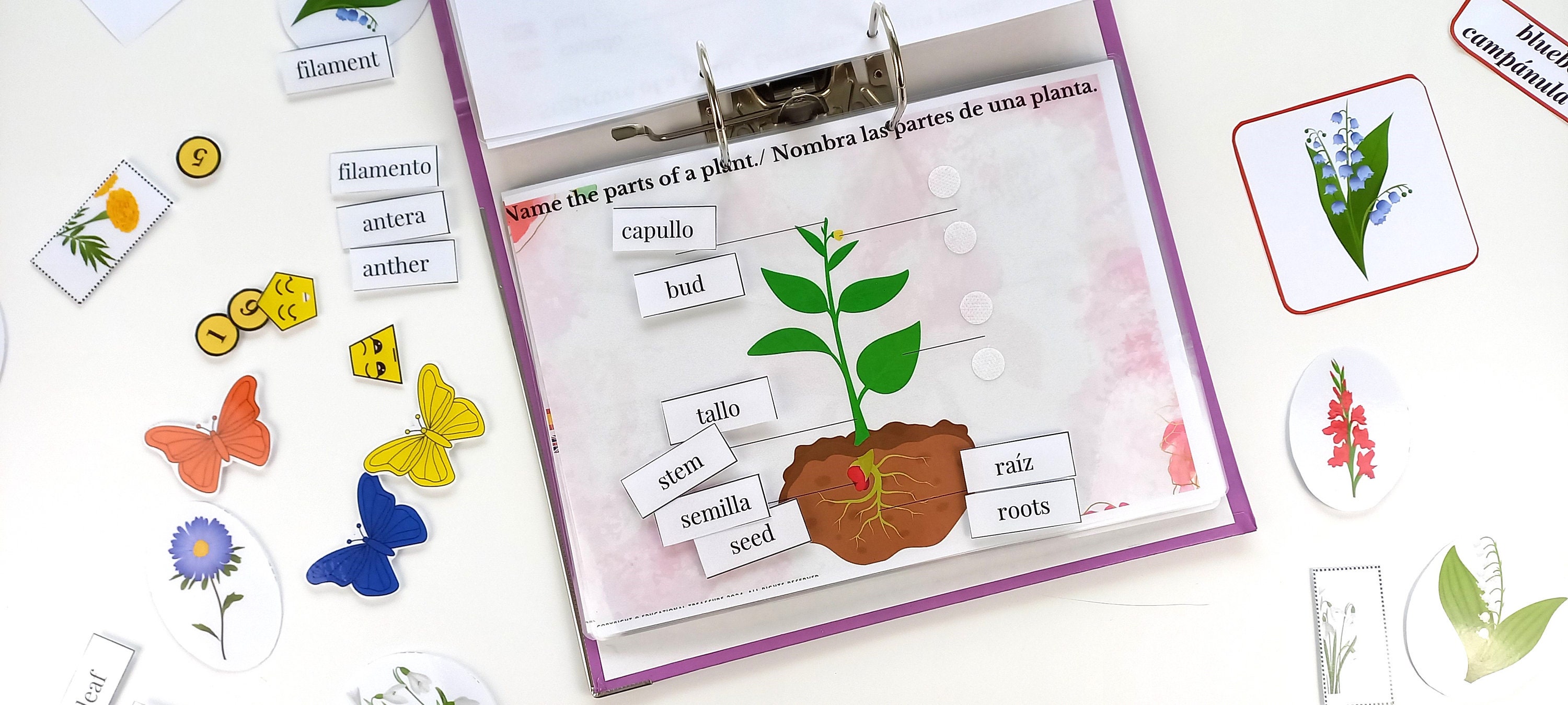 Flowers Activity Book: Montessori Homeschool Printable (PDF) - Etsy