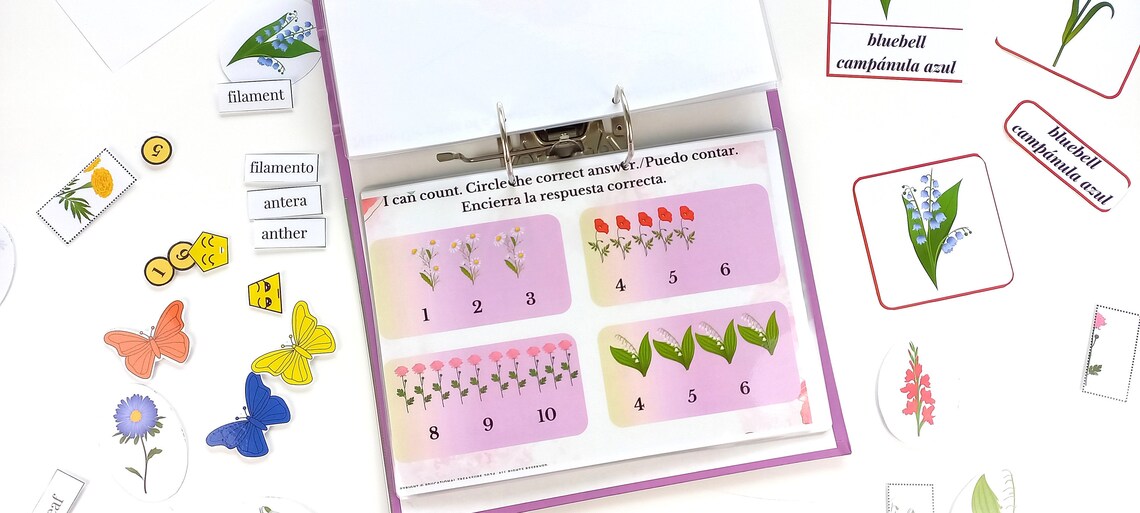 Flowers Activity Book: Montessori Homeschool Printable (PDF) - Etsy
