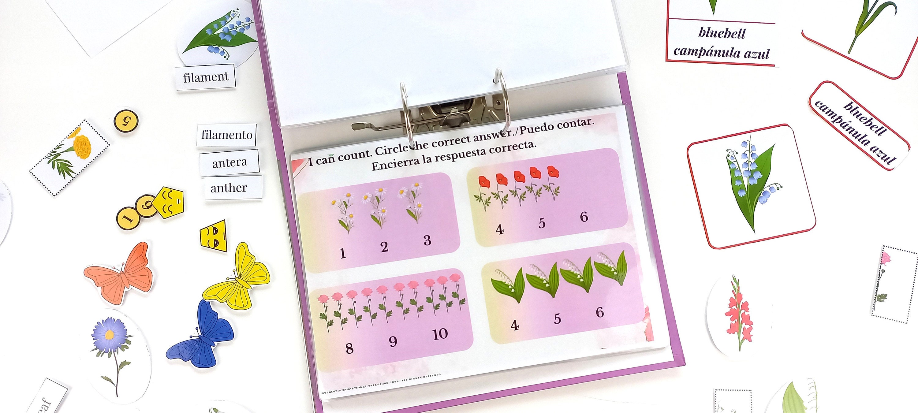 Flowers Activity Book: Montessori Homeschool Printable (PDF) - Etsy