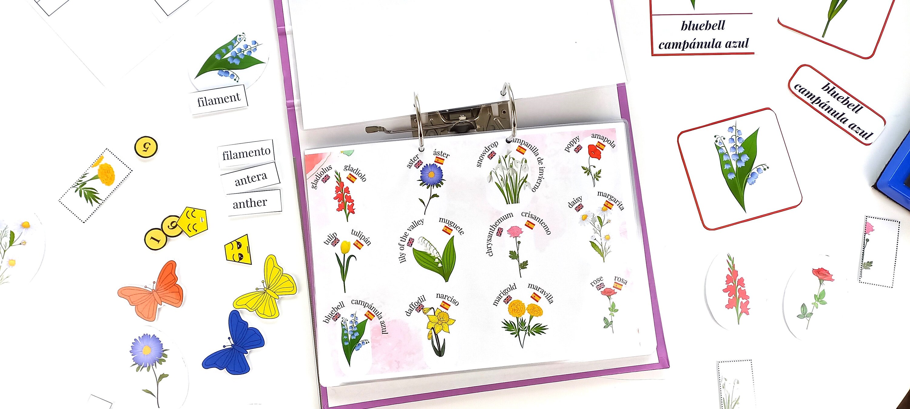 Flowers Activity Book: Montessori Homeschool Printable (PDF) - Etsy