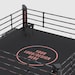 Customizable Boxing Ring Floor Canvas, Logo Design - Etsy