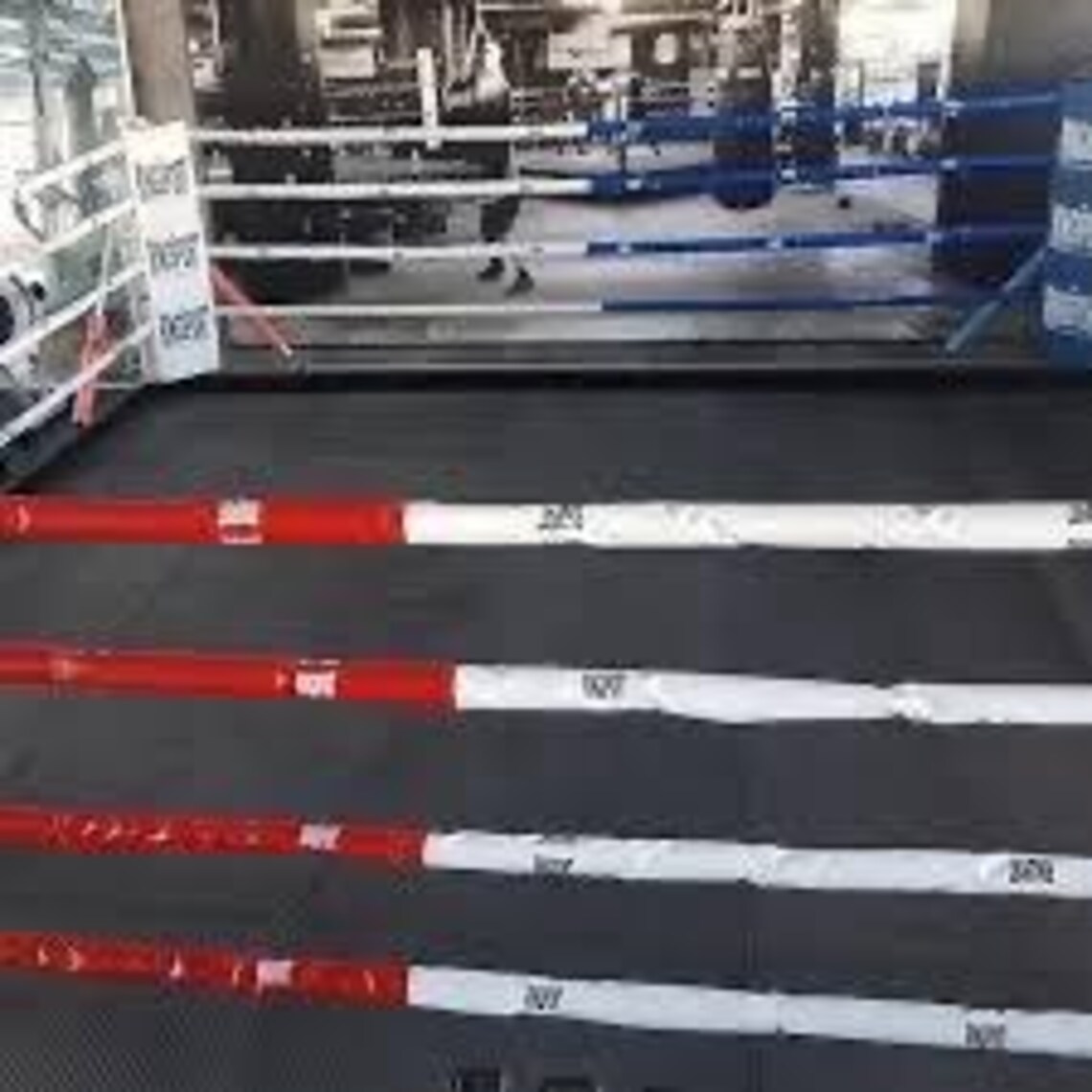 Customizable Boxing Ring Floor Canvas, Logo Design - Etsy