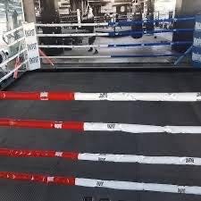 Customizable Boxing Ring Floor Canvas, Logo Design - Etsy
