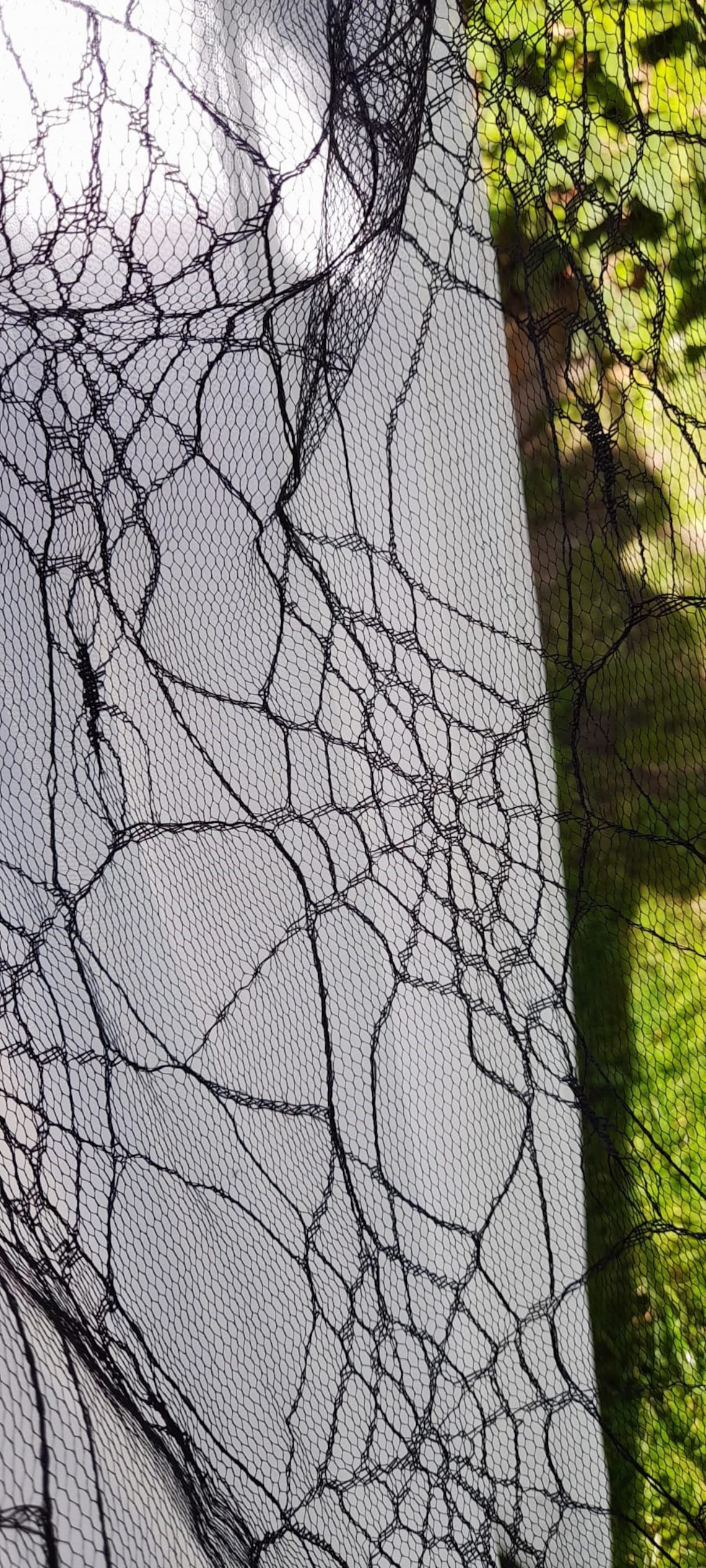 Gothic Black Bridal Cape Veil With Spiderweb and Spiders for Halloween ...