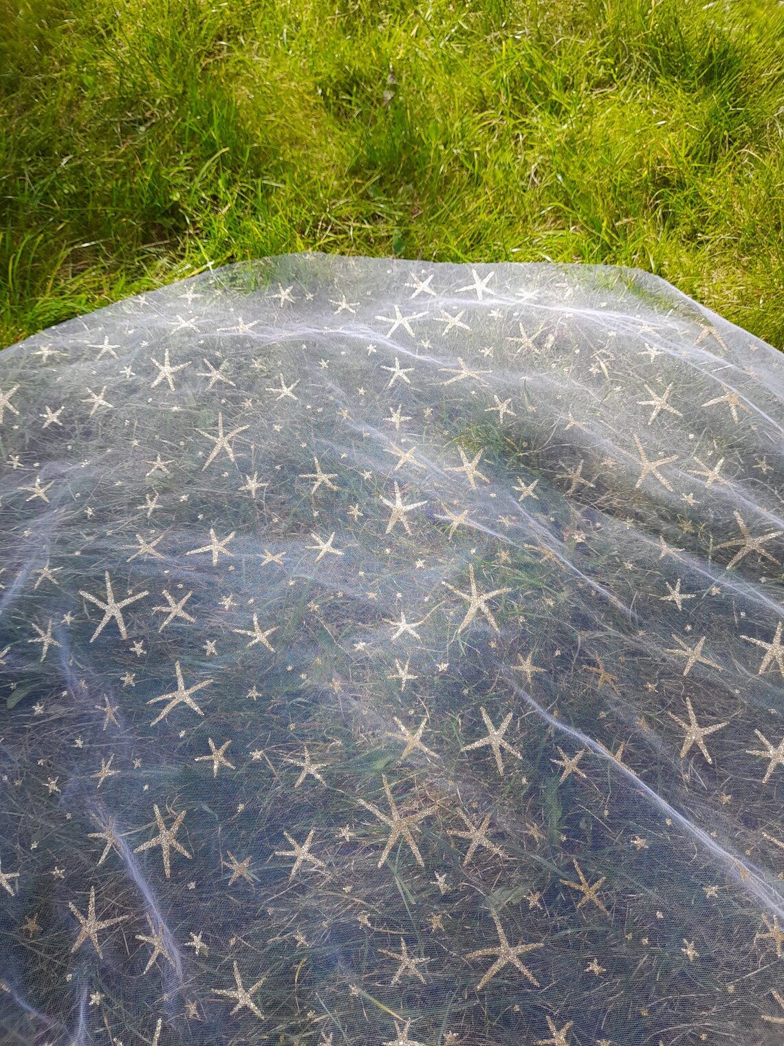 Celestial Elegance: Off-white Cathedral Cape Veil With Gold Star Print ...