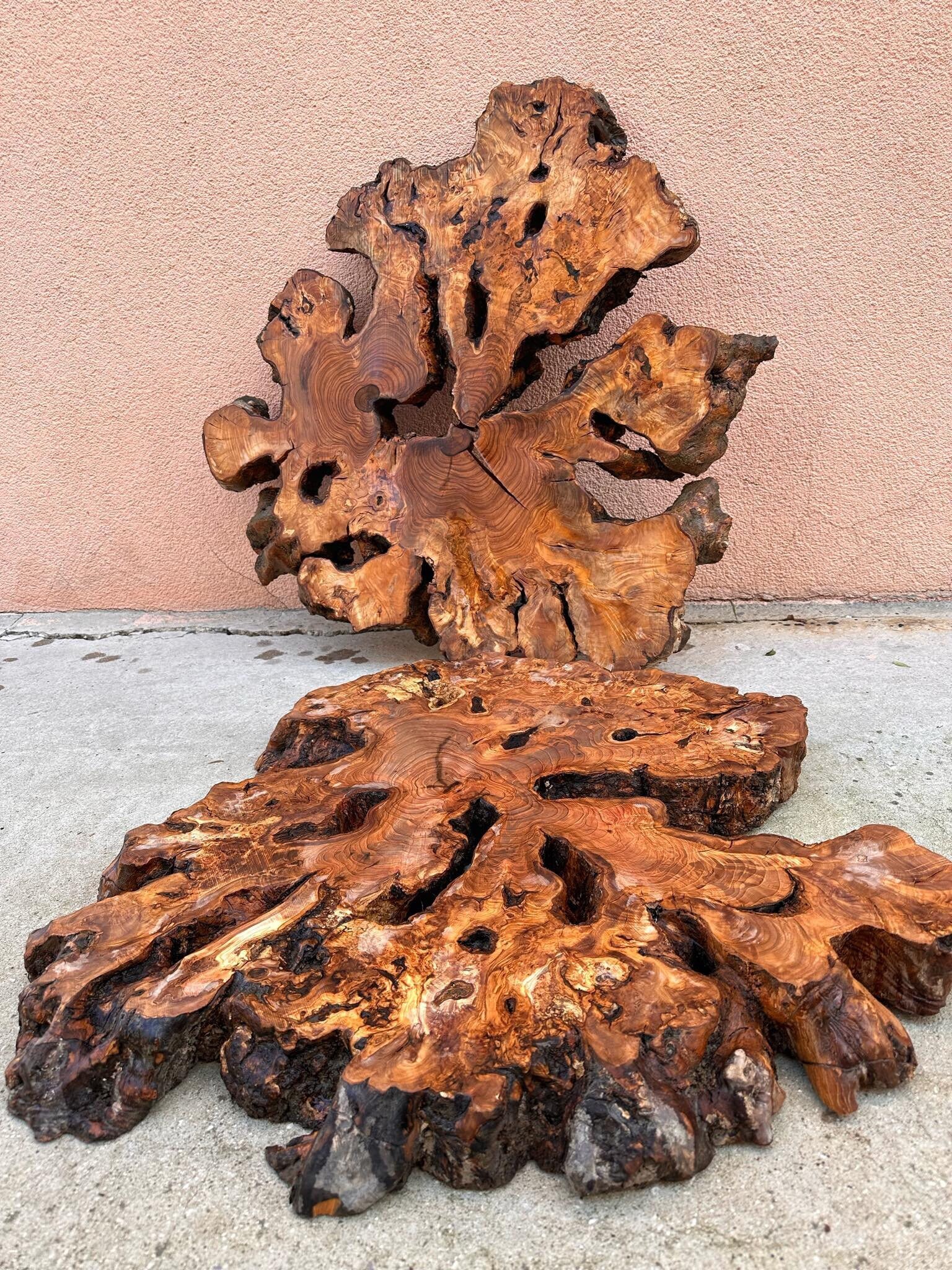 Olive Wood Slab, Live Edge Wood Slab, Burl Wood, Unique Olive Root ...