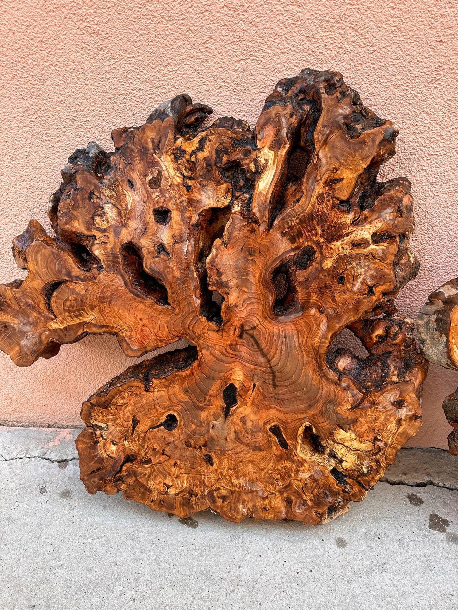 Olive Wood Slab, Live Edge Wood Slab, Burl Wood, Unique Olive Root ...