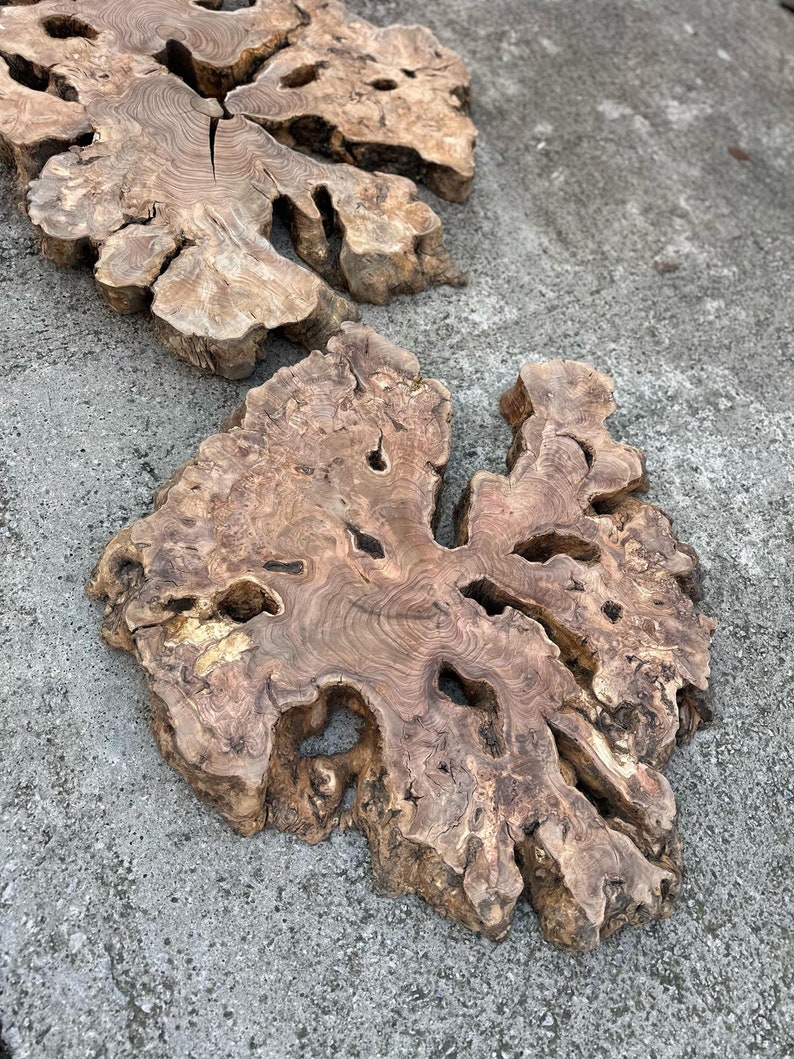 Olive Wood Slab, Live Edge Wood Slab, Burl Wood, Unique Olive Root ...