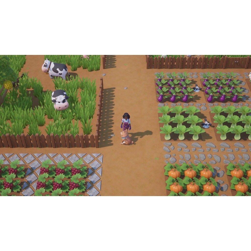 Coral Island Game PC Simulator Simulation PC Laptop Games - Etsy