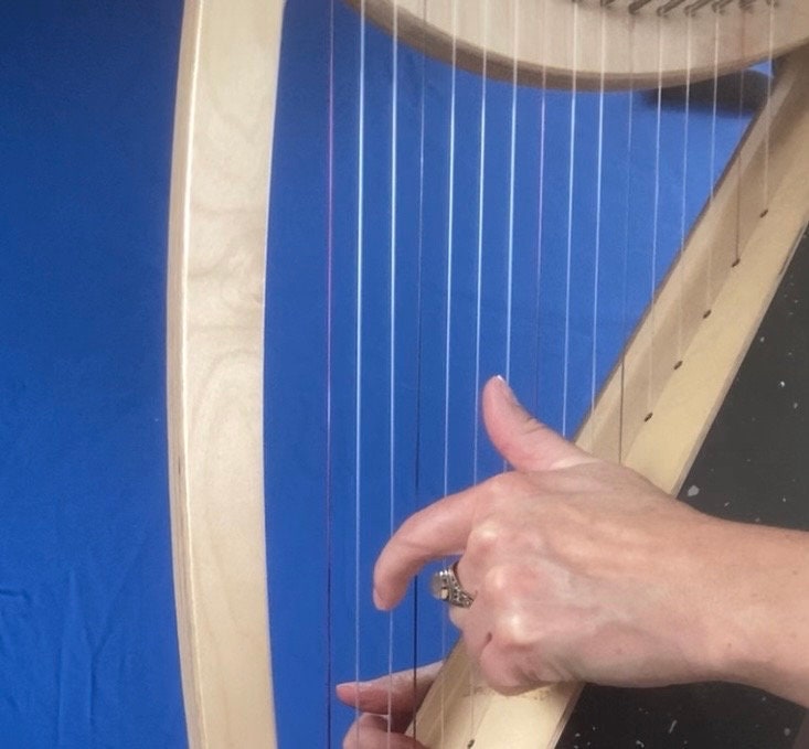 Small Harp Video Tutorials: Traditional Irish Music for 16 Strings - Etsy
