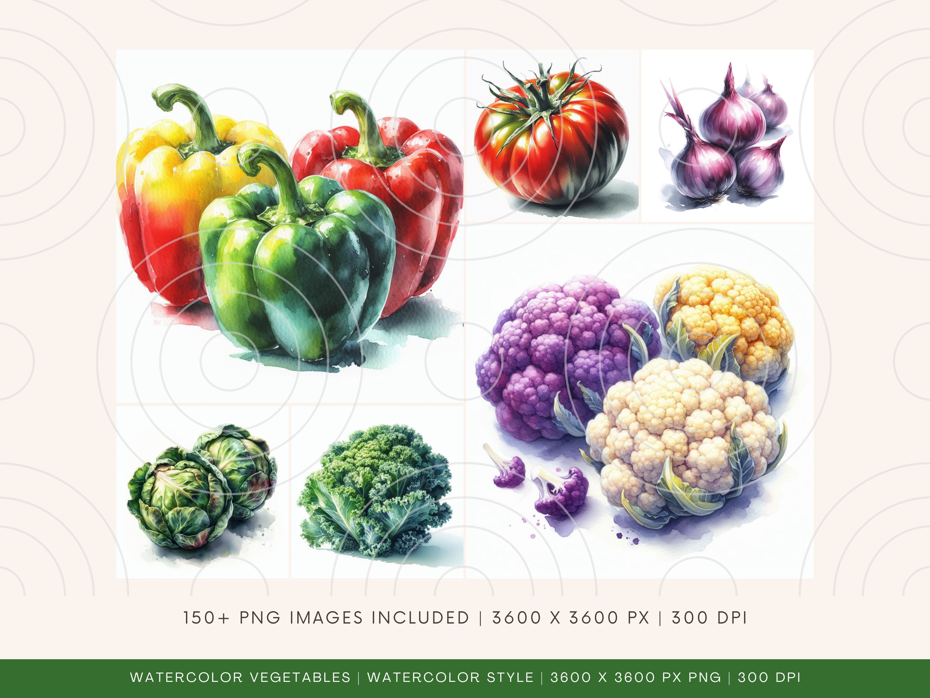 Watercolor Vegetables PNG Collection, Cropped PNG File, Instant ...