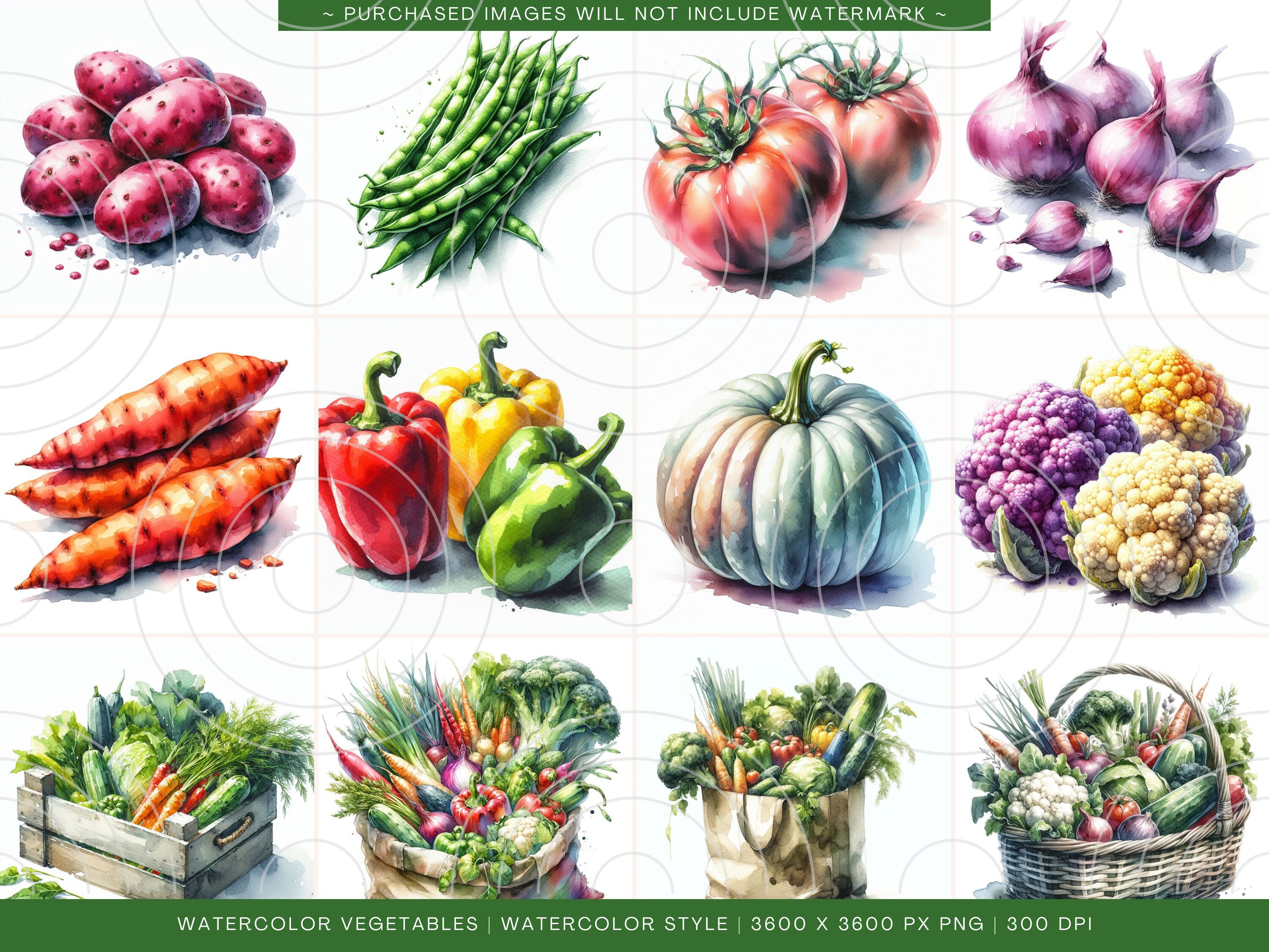 Watercolor Vegetables PNG Collection, Cropped PNG File, Instant ...