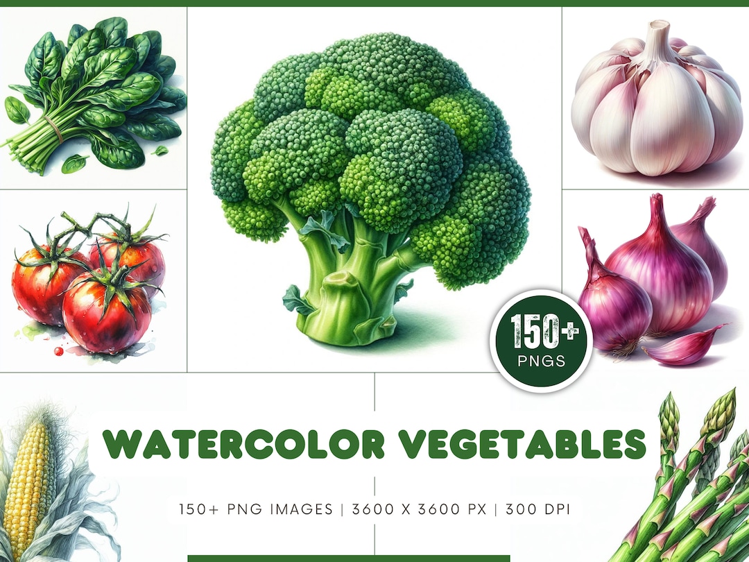 Watercolor Vegetables PNG Collection, Cropped PNG File, Instant ...