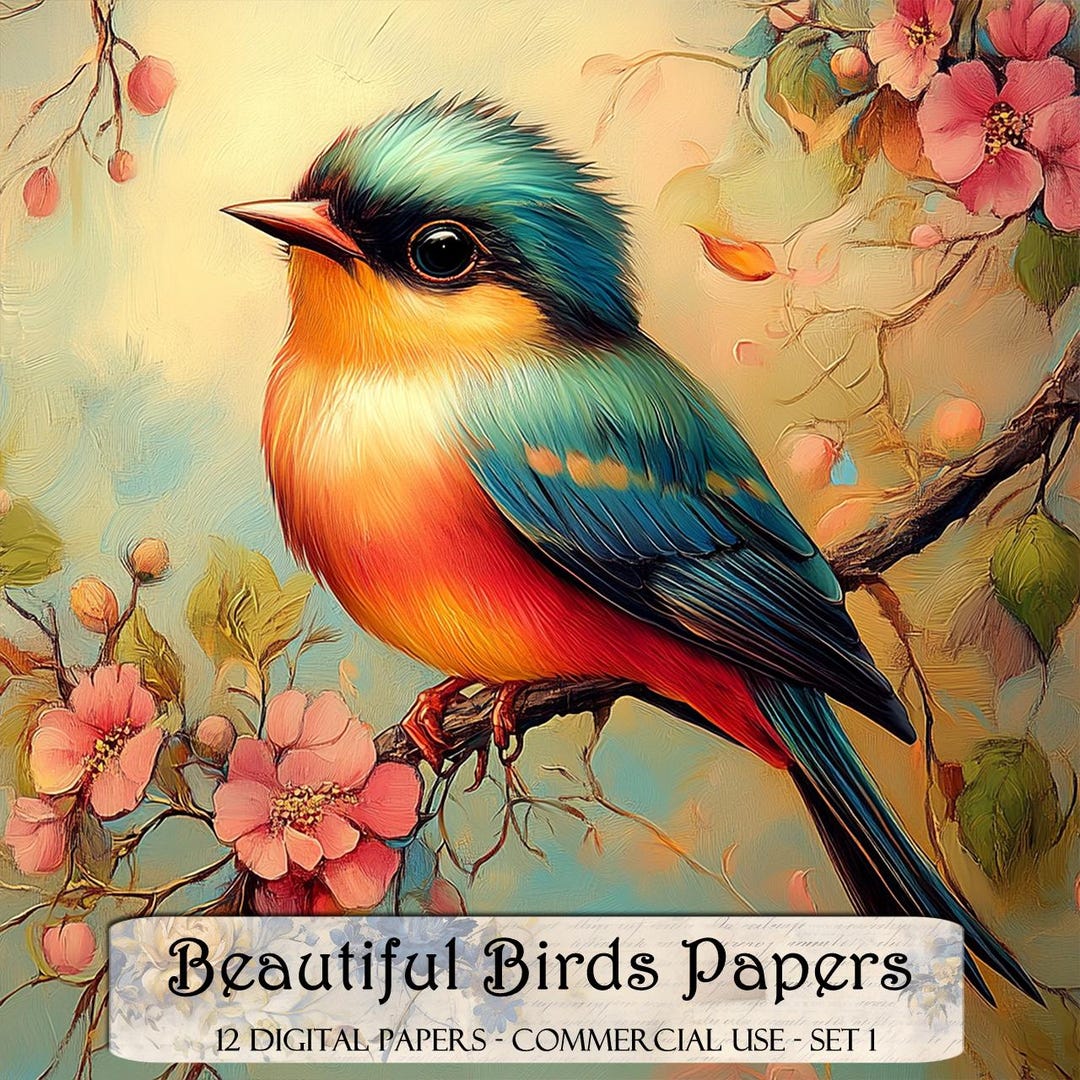 Birds Journal Papers: Printable Scrapbook Kit (digital Download) - Etsy
